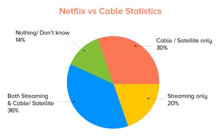 40+ Netflix Statistics Defining Its Dominance