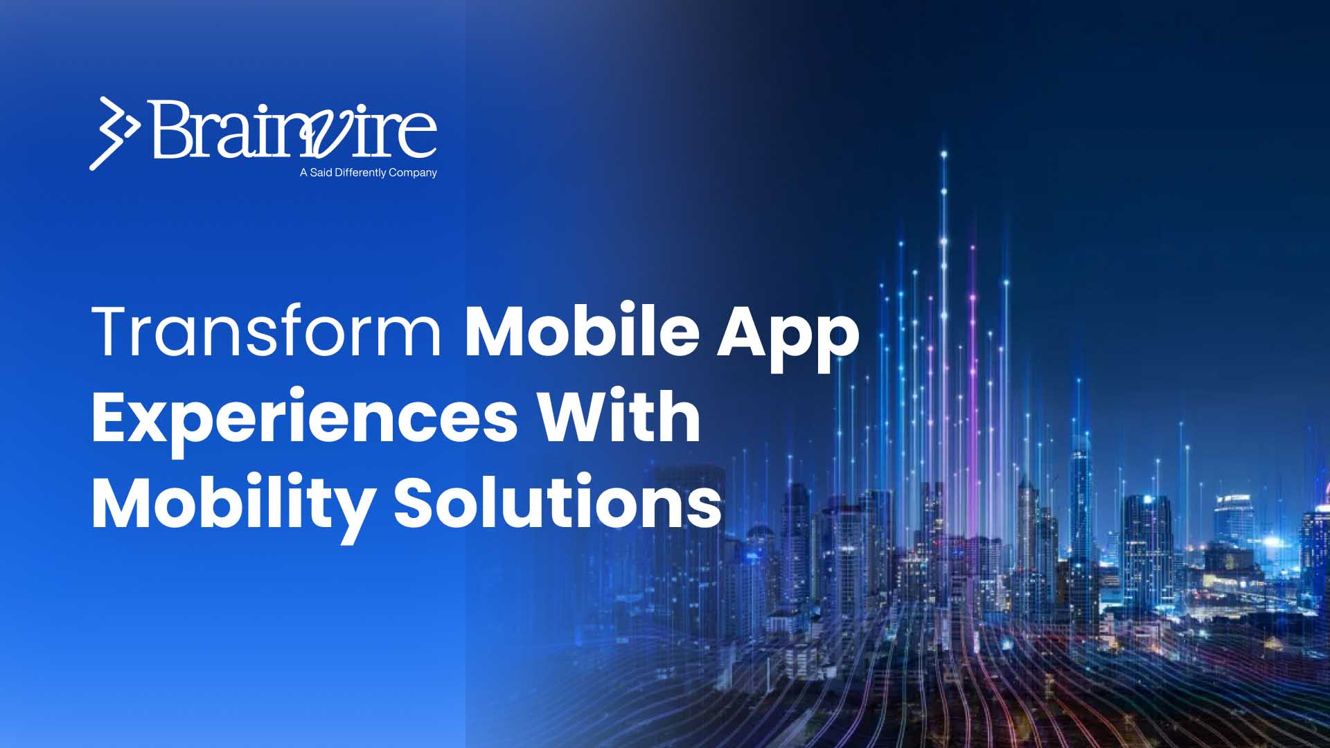 Wireless Mobility solution with web development services