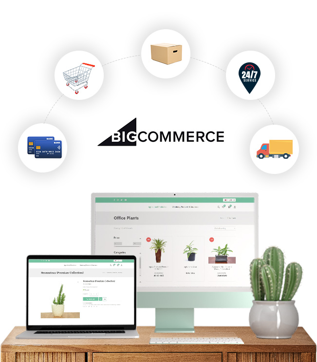 BigCommerce Development Company USA | Brainvire