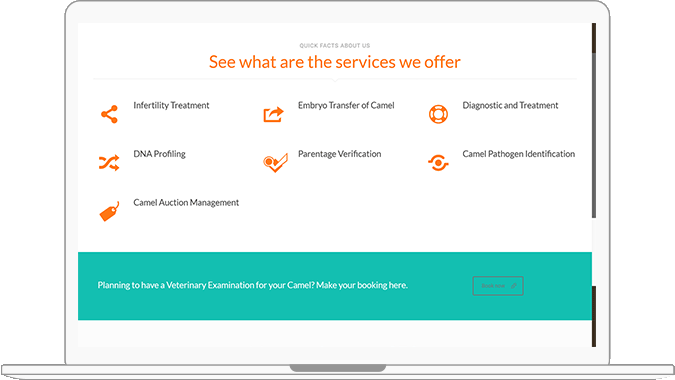 Efficient ERP System Implementation for Streamlined Processes