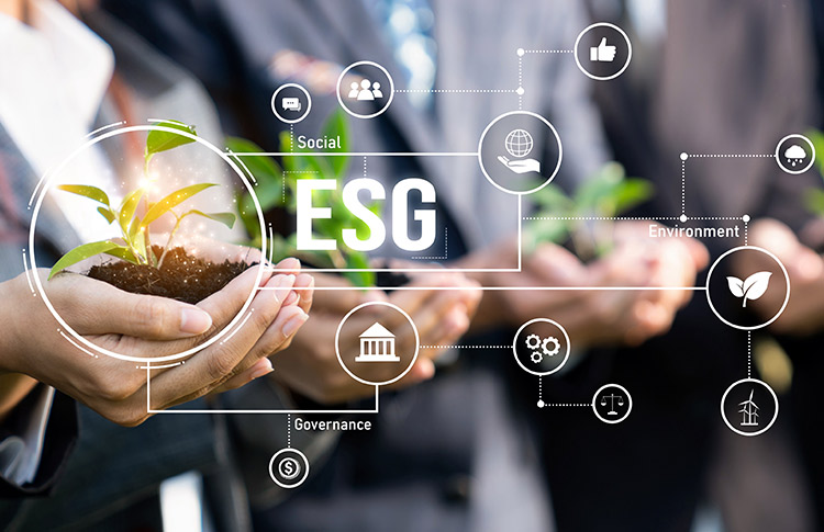 Leading ESG Provider and Brainvire Collaborate for WordPress Website ...