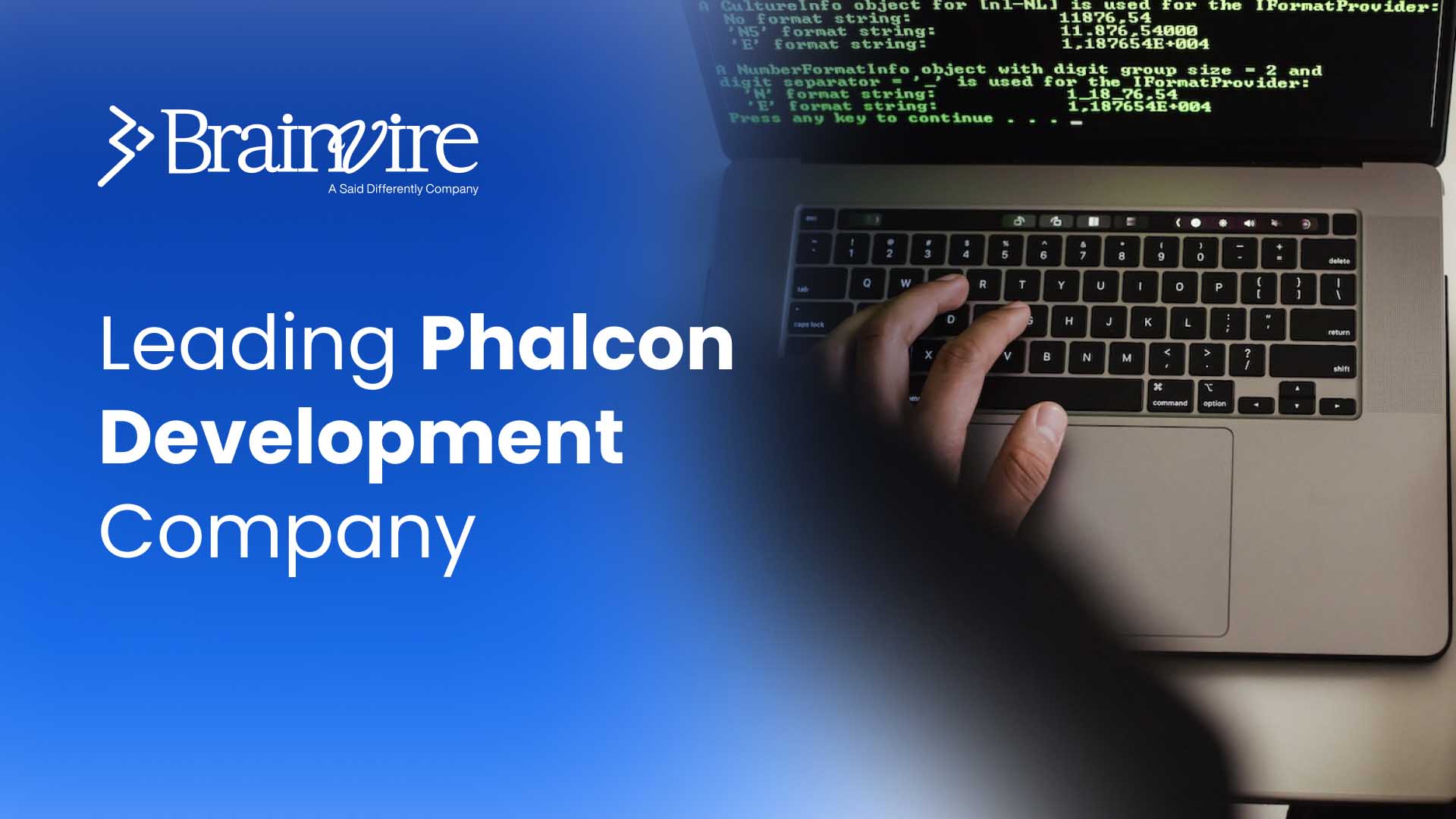 Phalcon Development Company | Brainvire