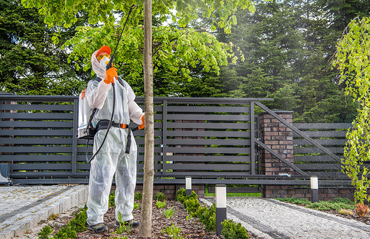 Said Differently Partners with Aptive to Transform Pest Control Digital ...